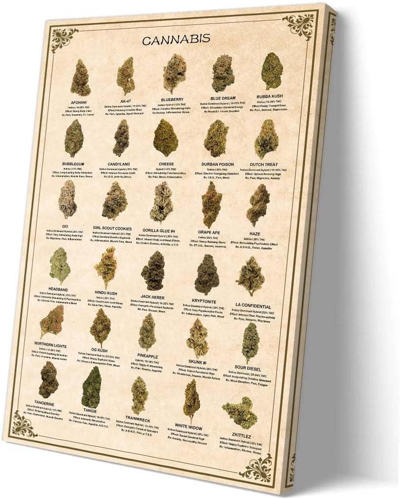 Amazon.com: Matniger Cannabis Wall Art Prints Framed Vintage Weed Wall ...