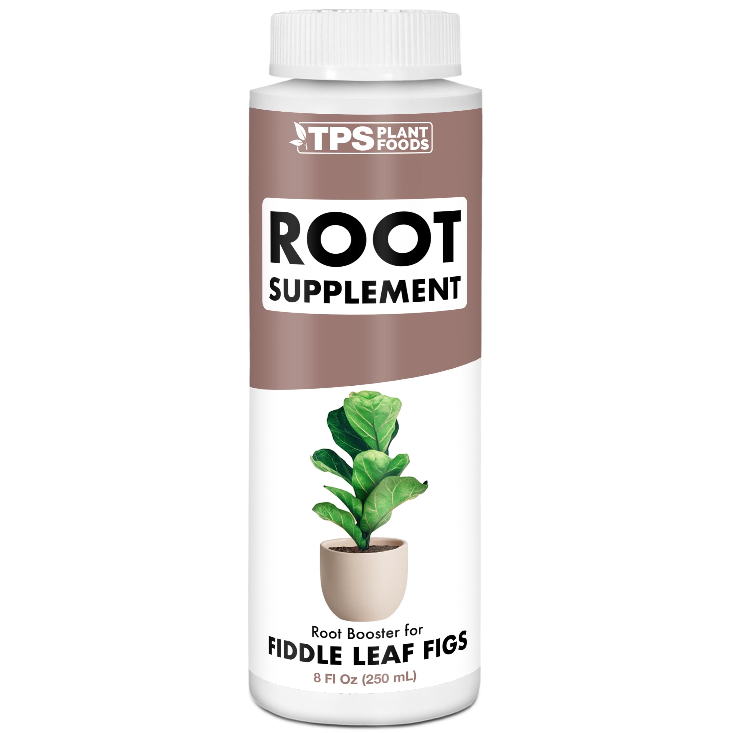 Amazon.com : Root Supplement for Fiddle Leaf Figs, Stimulate and ...