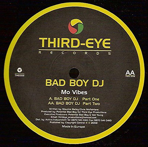 Amazon.com: Bad Boy DJ (2003 Remix): CDs & Vinyl