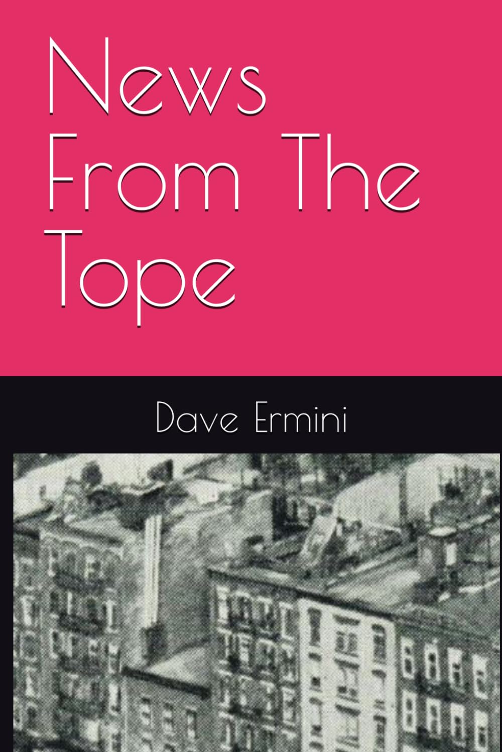 News From The Tope: Ermini, Dave: 9798336742534: Amazon.com: Books