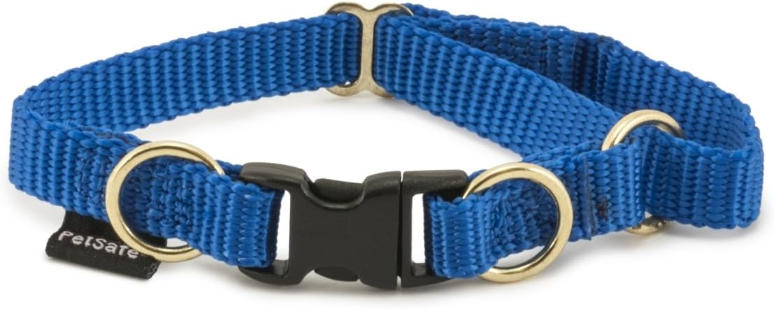 Petsafe KeepSafe Break-Away Collar, Prevent Collar Accidents for Your ...