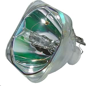 Amazon.com: Lutema Economy Bulb for Eiki 23040055 Projector (Lamp Only ...