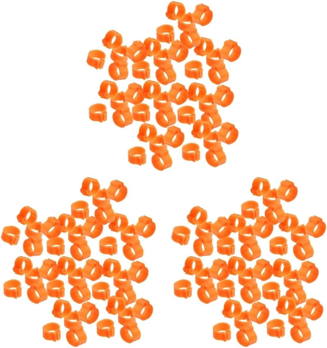 Amazon.com: Pigeon rings,Bird foot rings,chicken leg ring,300pcs Birds ...