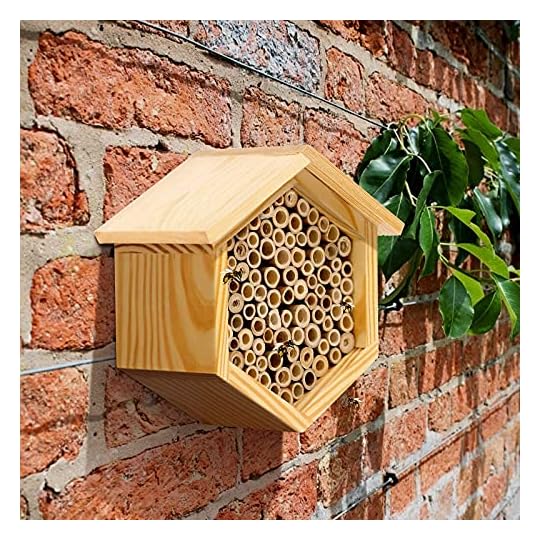 Mason Bee House Native Bee Hive Hexagon Bee House Natural Handmade ...