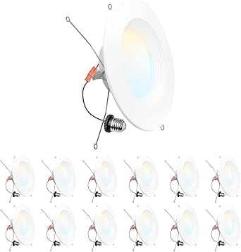 DEGNJU 6 inch LED Retrofit Recessed Lighting, LED Ceiling Light 2 Color ...