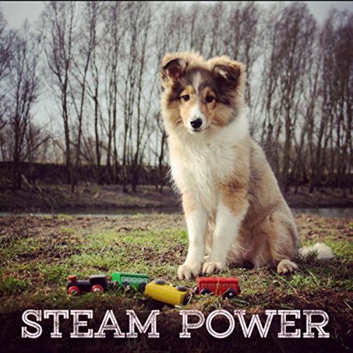 Amazon.com: Steam Power : Steam Power: Digital Music