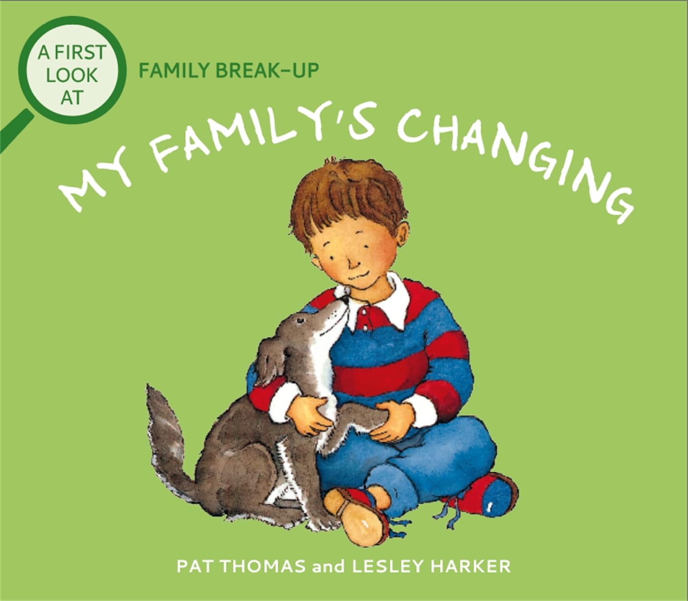 Family Break-Up: My Family's Changing (A First Look At): Amazon.co.uk ...