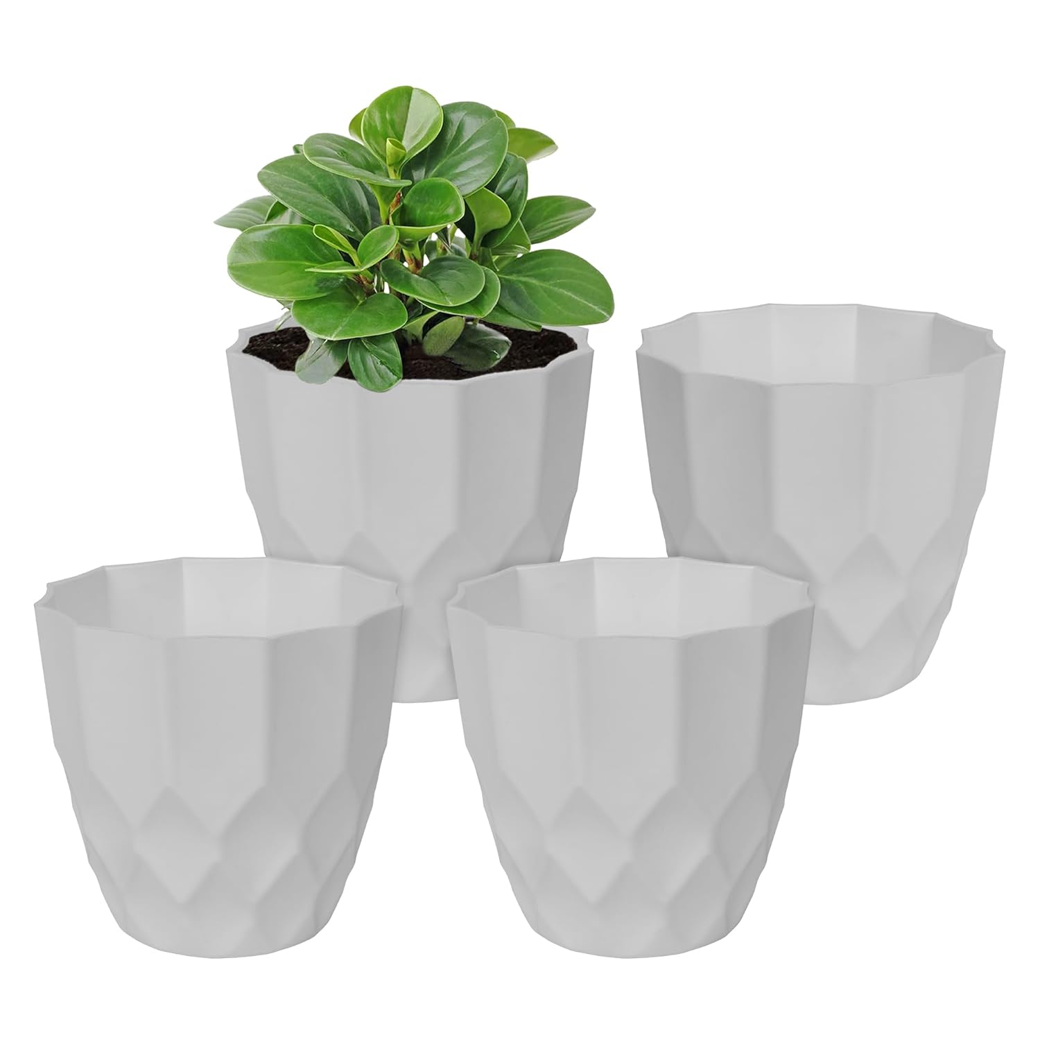 Kuber Industries Flower Pot | Flower Planter Pots for Indoor | Flower ...