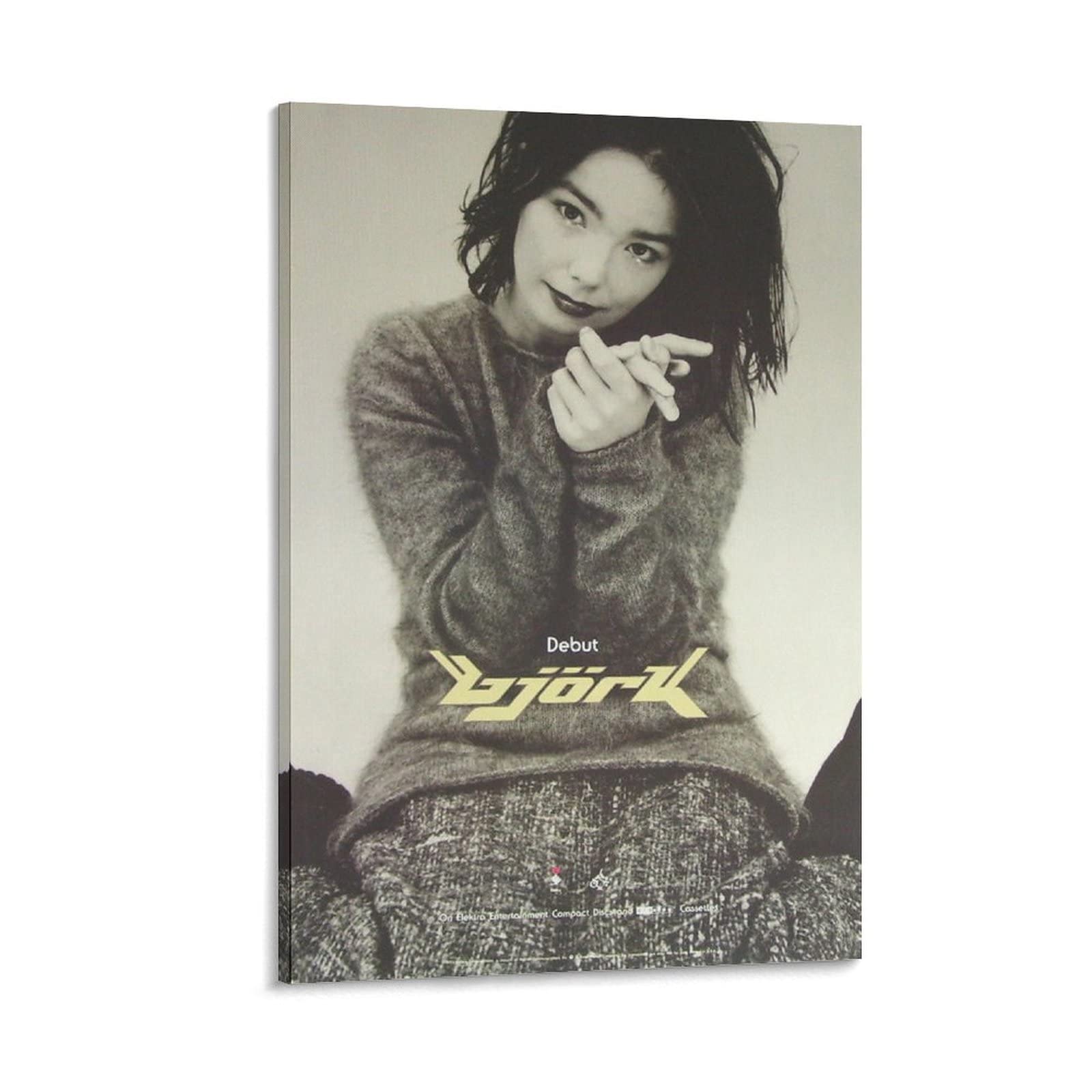 Bjork Debut Poster