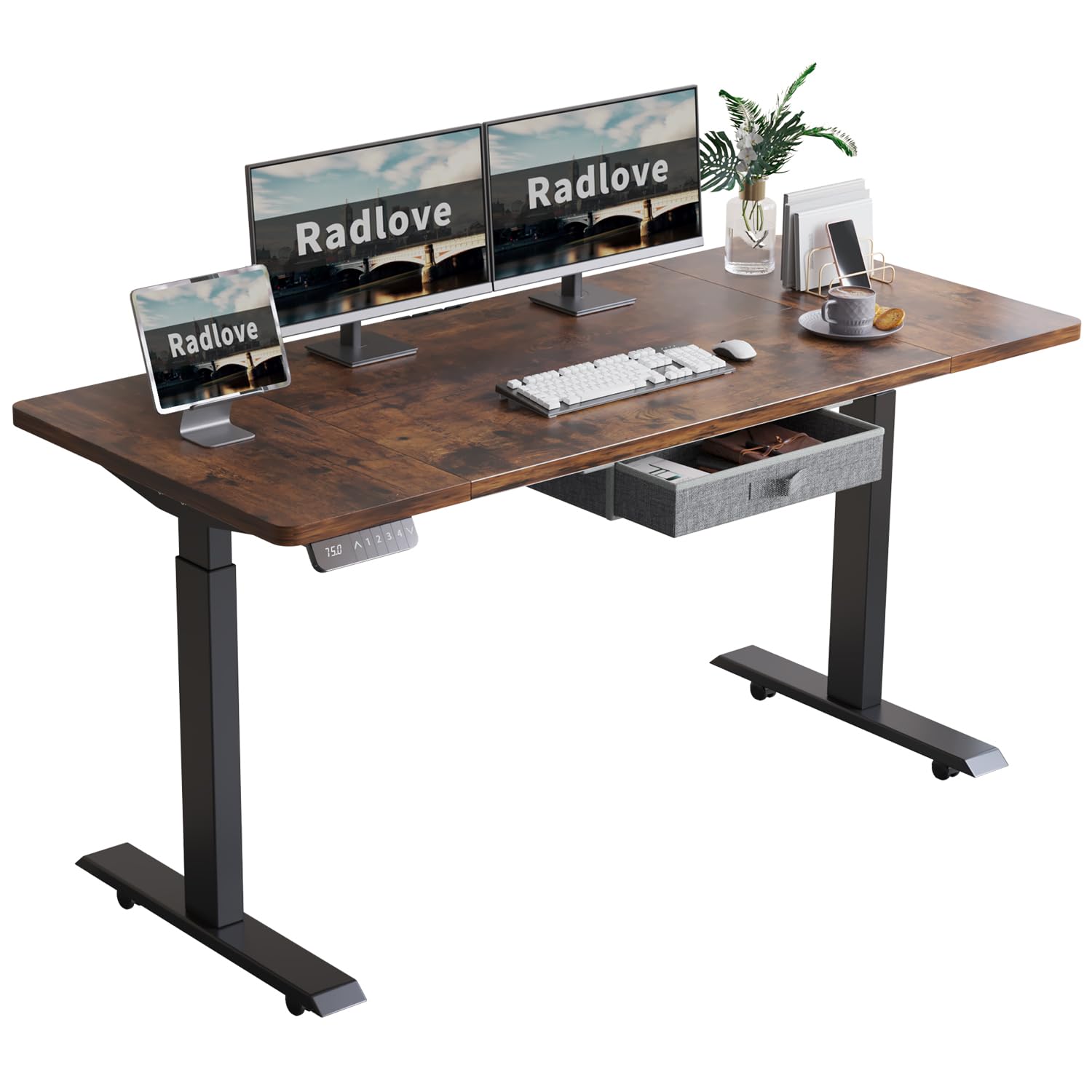 Amazon.com: Radlove Dual Motors Height Adjustable 63 x 30'' Electric ...