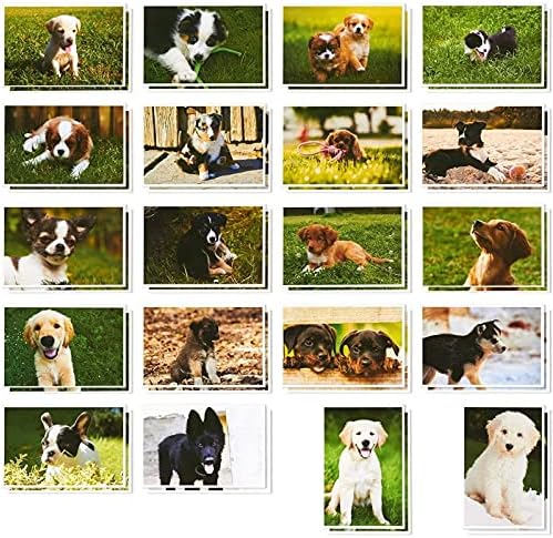 Amazon.com: BEST PAPER GREETINGS 40 Pack Puppy Dog Postcards Bulk Set ...