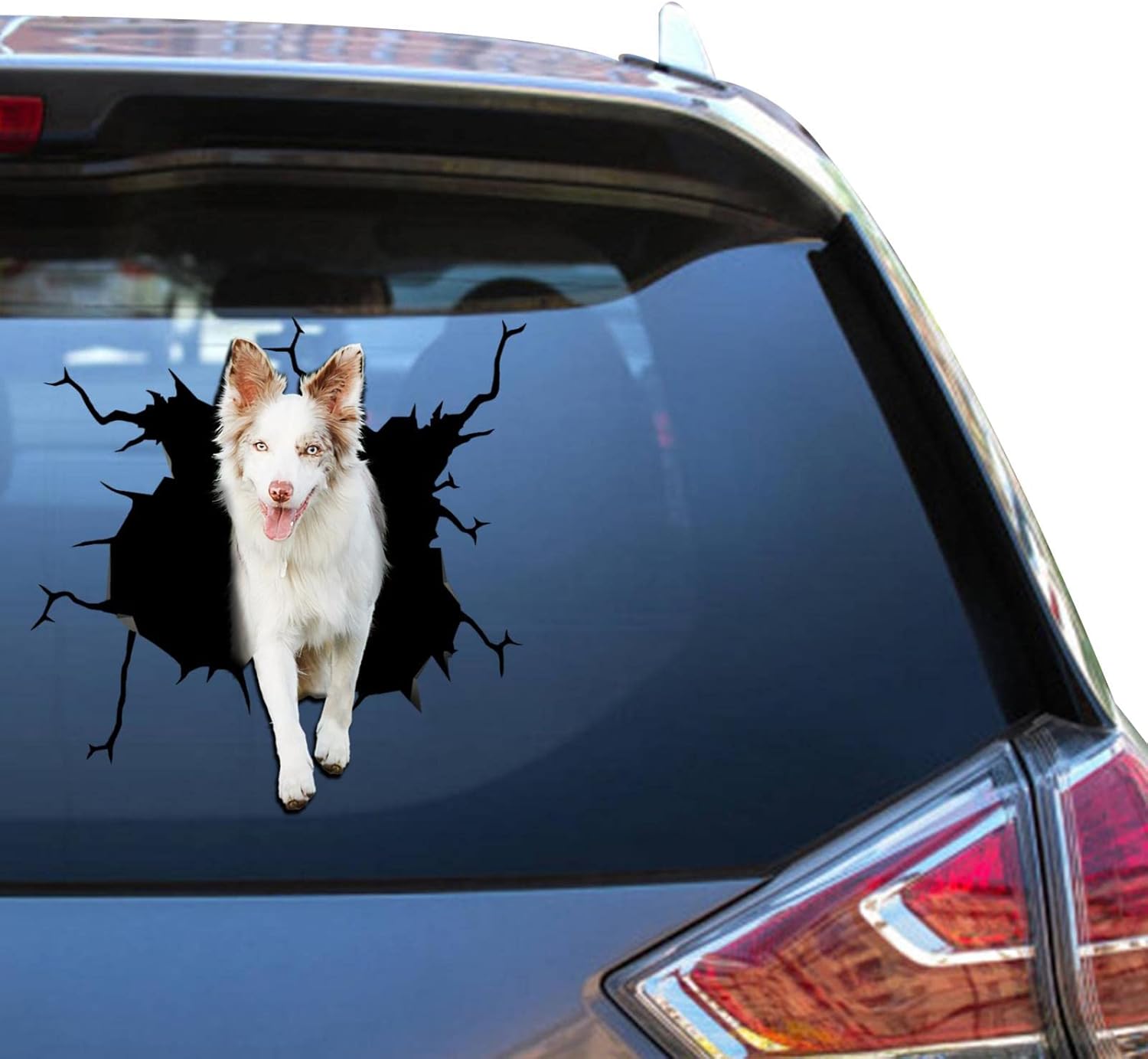 Amazon.com - Car Sticker Border Collie Border Collie Decals Vehicles ...