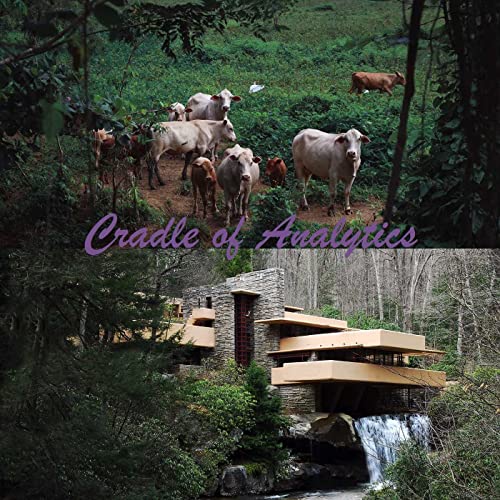 Cradle of Analytics : Neil Hepburn: Amazon.in: Books