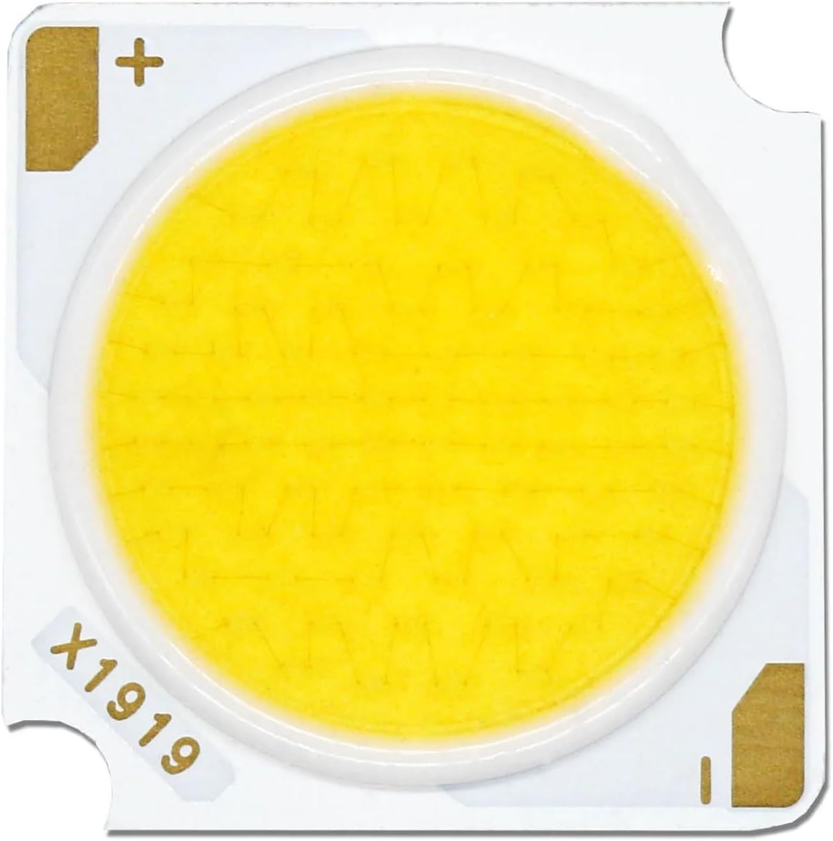 Amazon.com: 12W 18W 24W 30W 36W 42W DC36-39V Bridgelux Chip LED COB ...