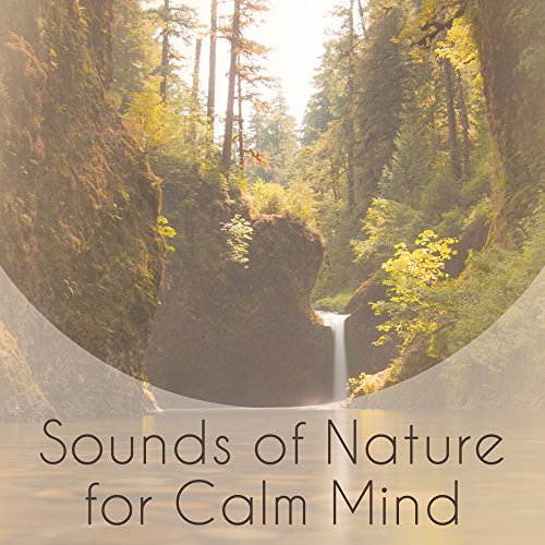 Amazon.com: Sounds of Nature for Calm Mind – New Age Calm Sounds ...