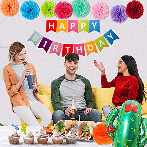 Happy Birthday Decorations Banner With 8 Tissue Paper Pom Pom - Want It All