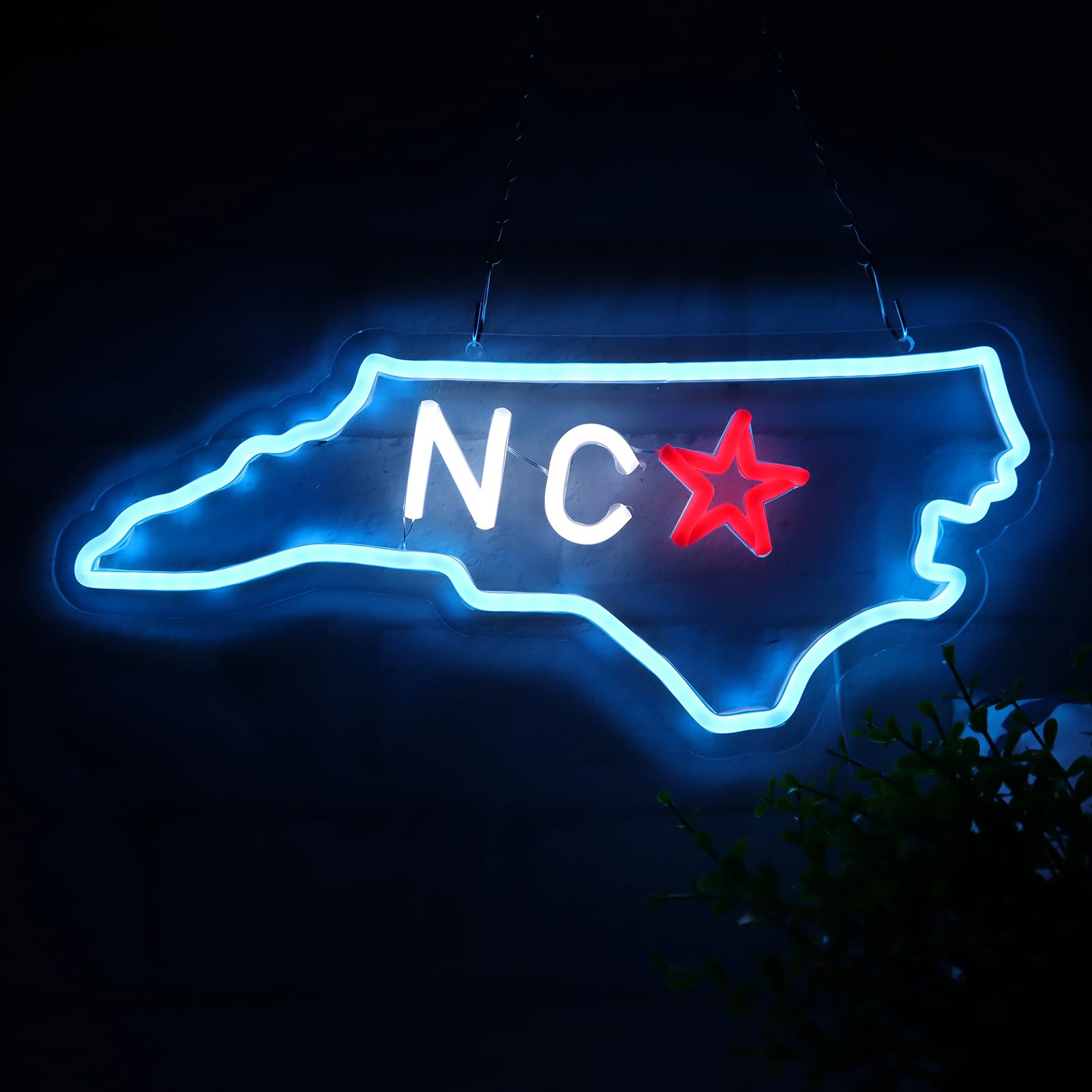 Amazon.com : Pugna NC sign for wall decor，Neon Lights Suitable for ...