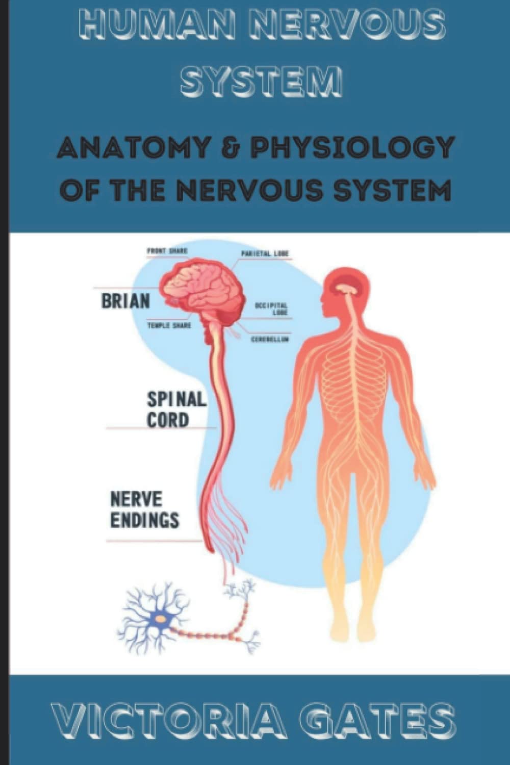 Buy Human Nervous System: Anatomy & Physiology of the Nervous System ...
