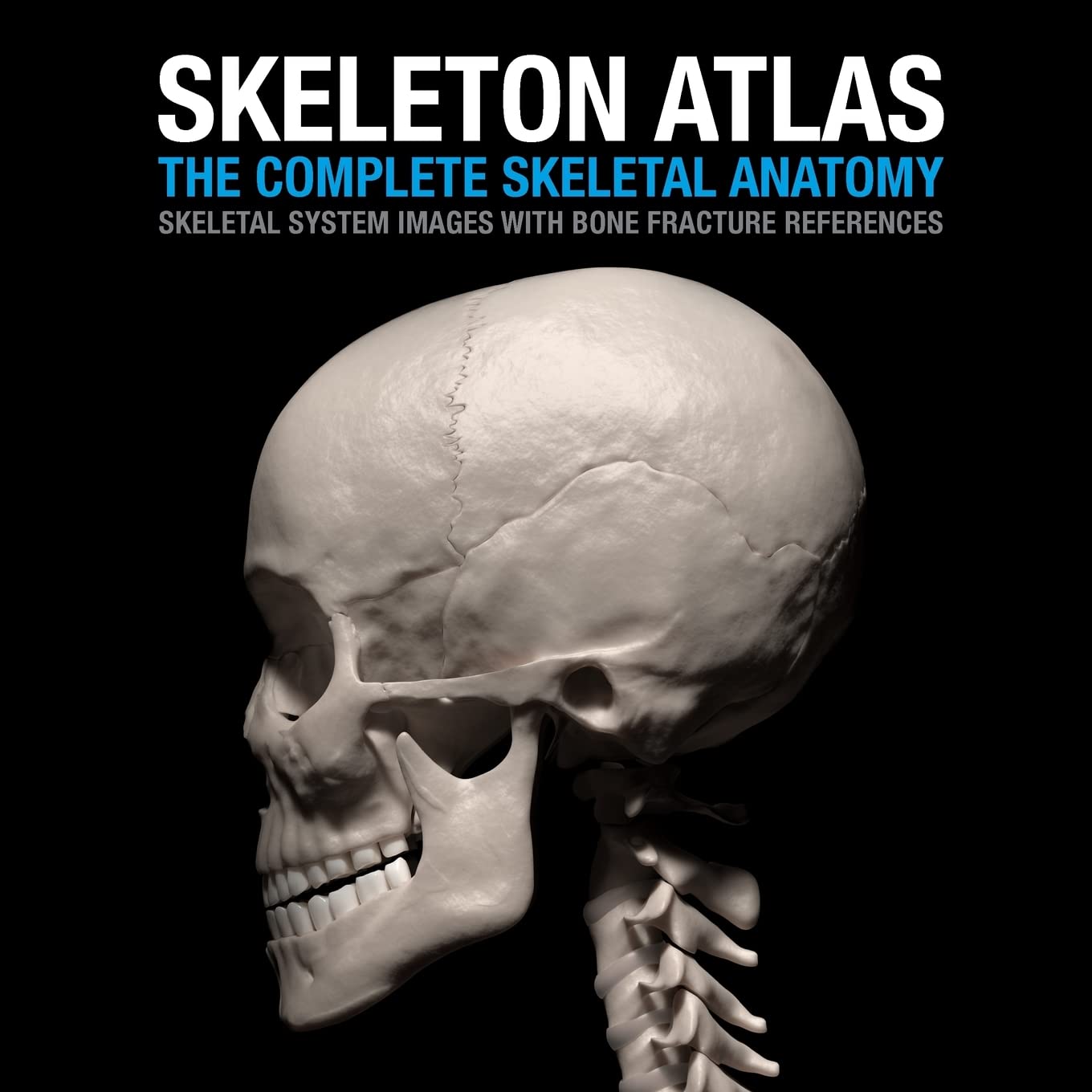 Skeleton Atlas: The complete Skeletal Anatomy: Skeletal System images ...