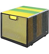 Amazon.com: Meshist Mesh Hanging File Folder Box Organizer, Office ...
