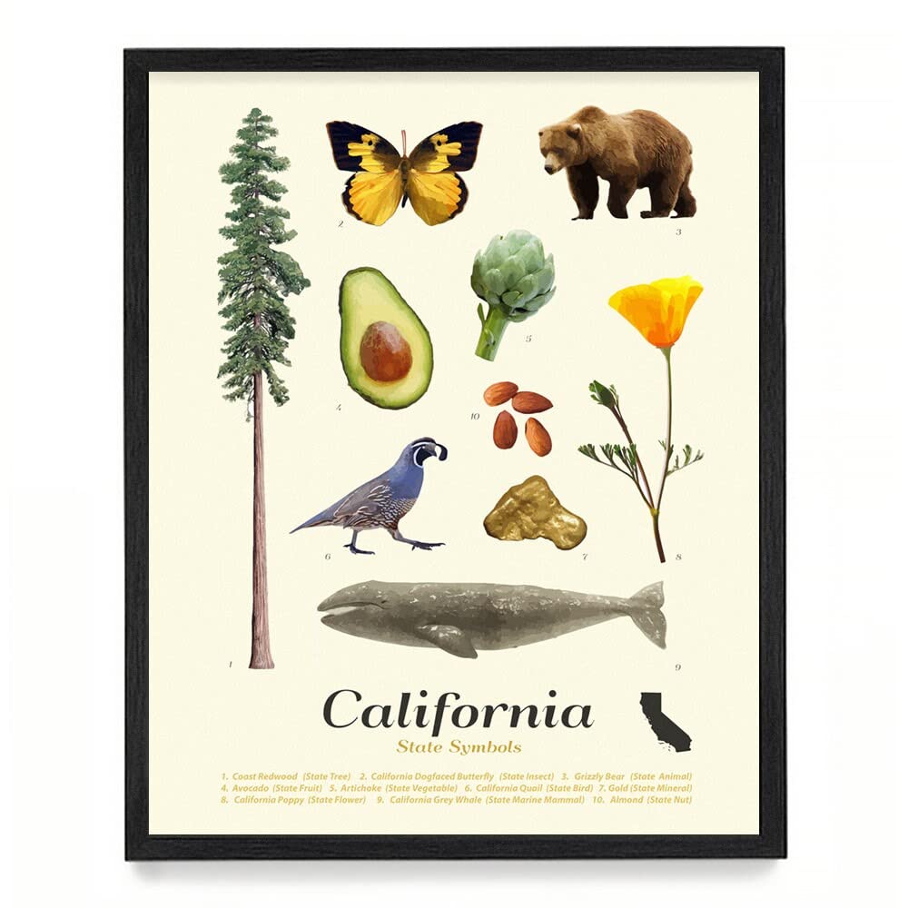 California State Symbols Clip Art California State Png, California