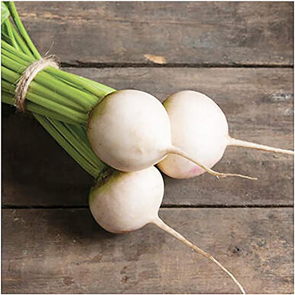 Amazon.com : Avalanche White Beet Seeds - Tender and Delicious : Patio ...