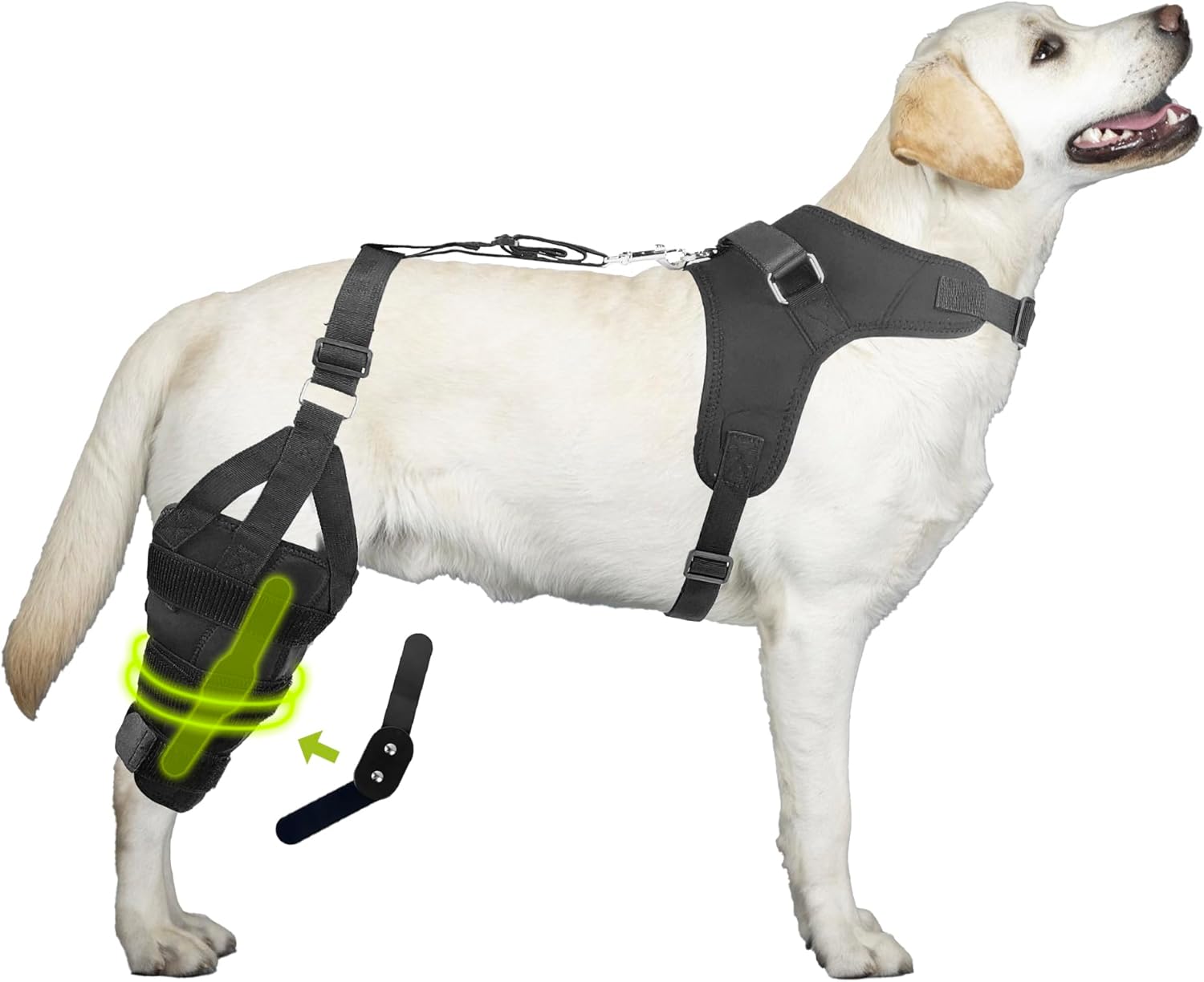 Amazon.com : KISFLY Dog Leg Braces for Back Leg Luxating Patella ...