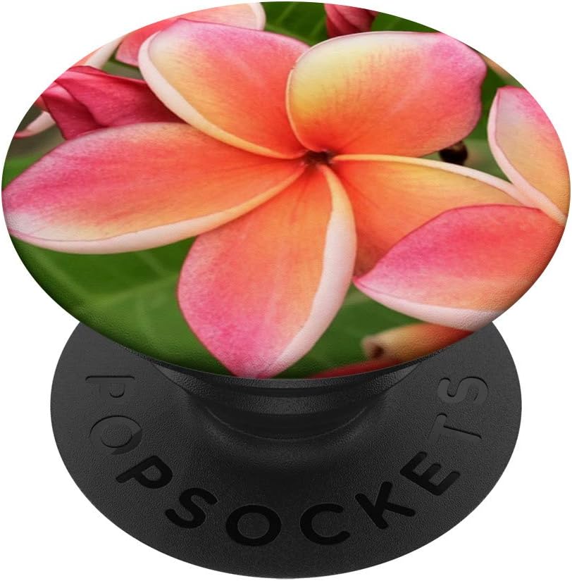 Amazon.com: Plumeria Flower Pretty Garden Hawaii Pop Socket Phone ...