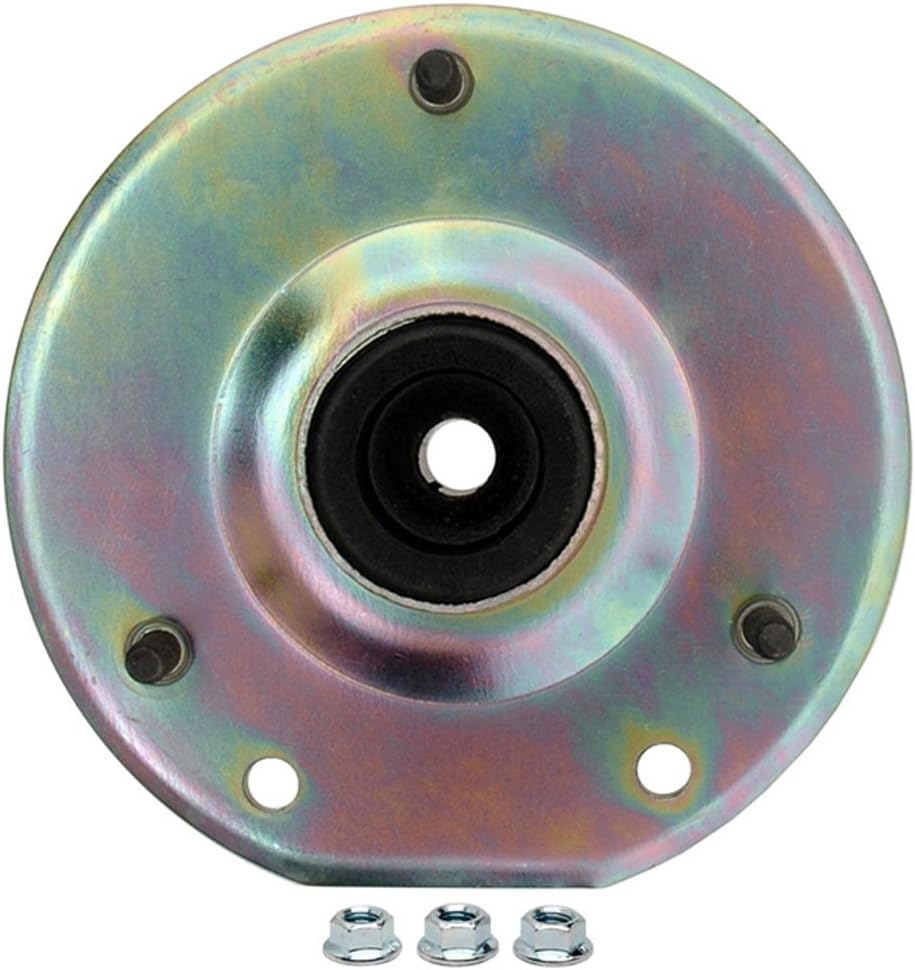 Amazon.com: Raybestos 520-1031 Professional Grade Suspension Strut ...