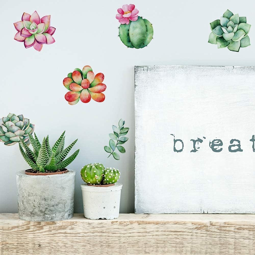 Amazon.com: CozyDecor 36 Pcs Succulent Decals for Wall, Succulents ...
