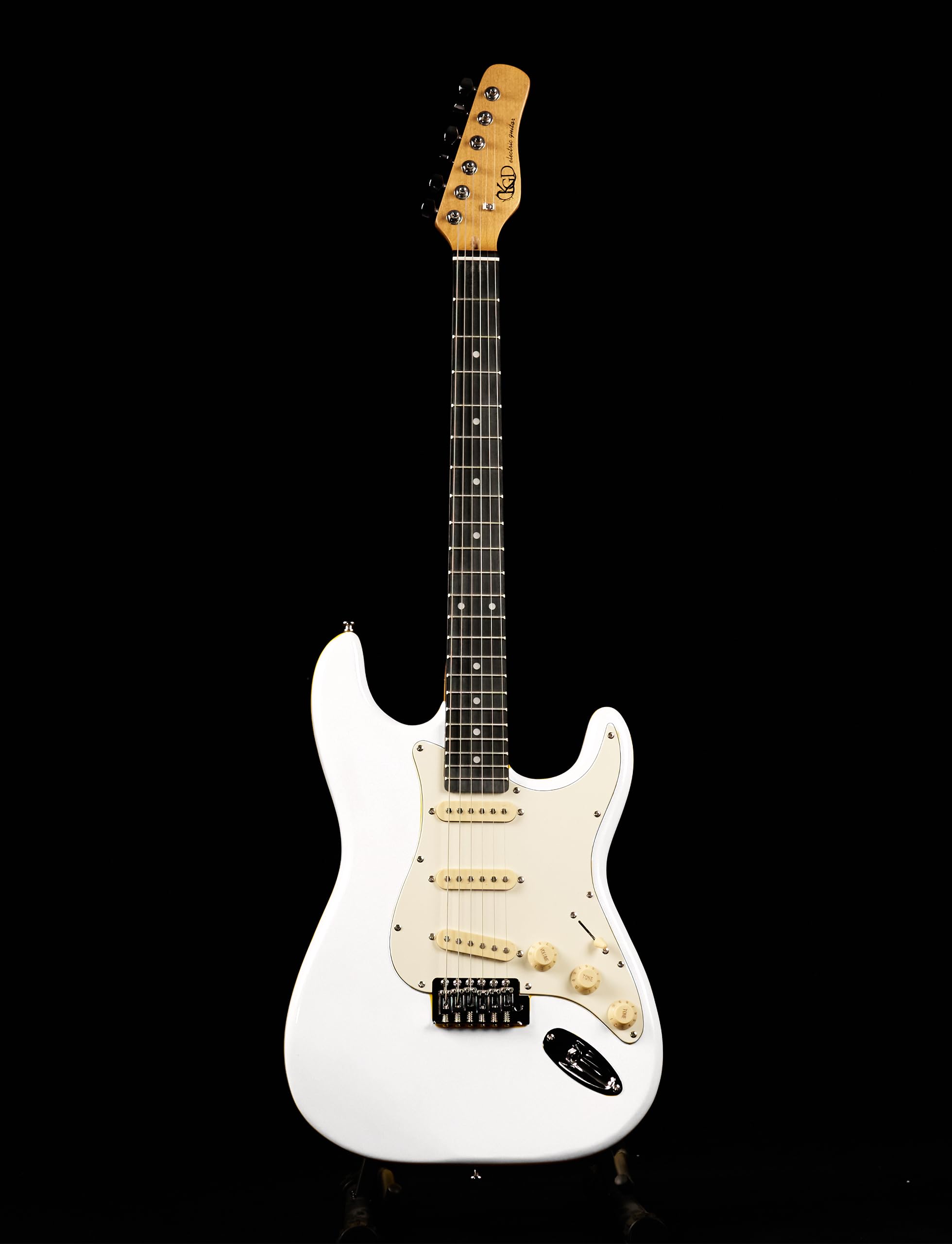 Snapklik.com : Electric Guitar,Sycamore Body,Carbonized Maple Neck ...