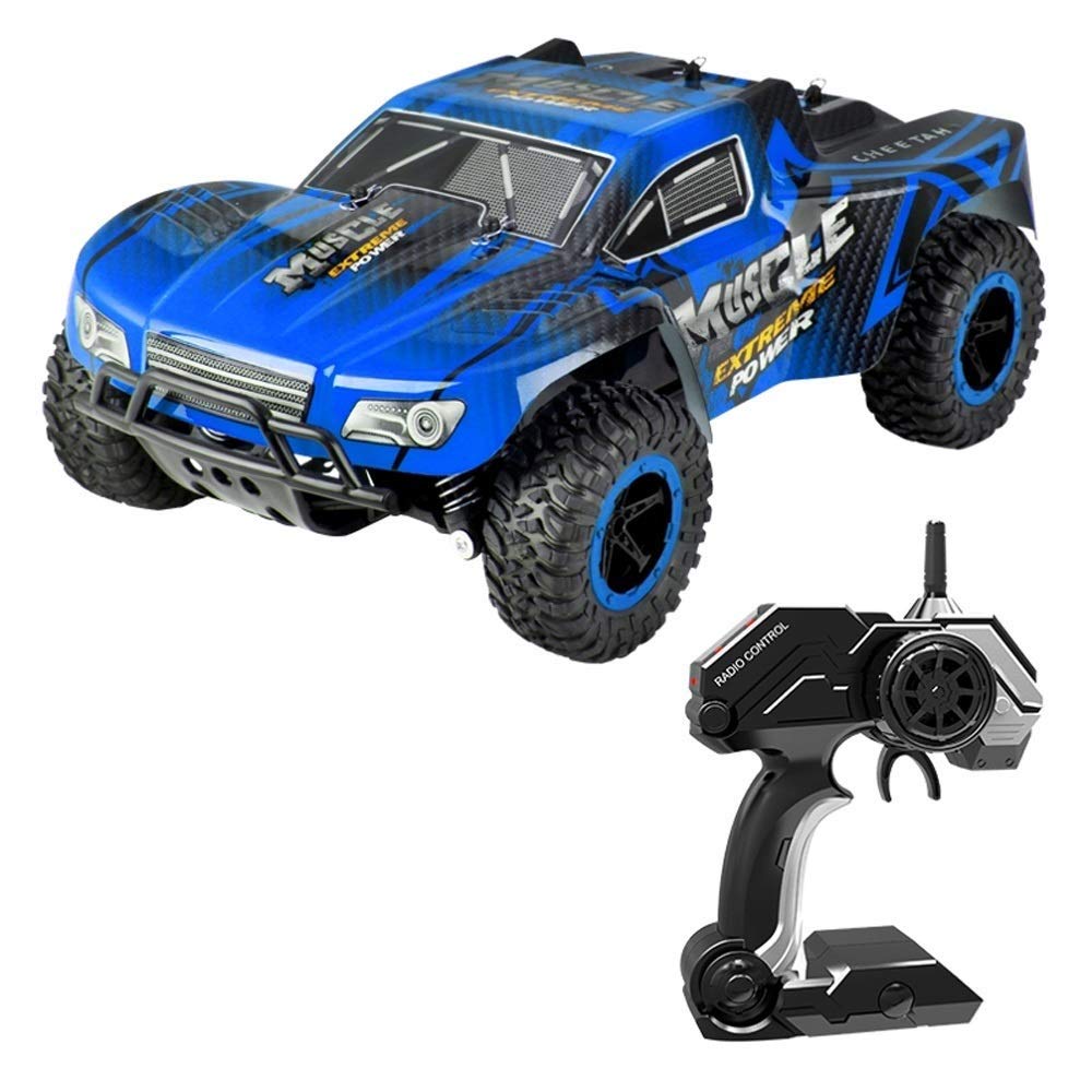 Buy SSBH 2.4G Remote Control Speed Racing Car Ndependent Suspension ...