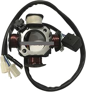 Amazon.co.jp: Electric Coil Motorcycle AG100 Engine Inner Rotor ...