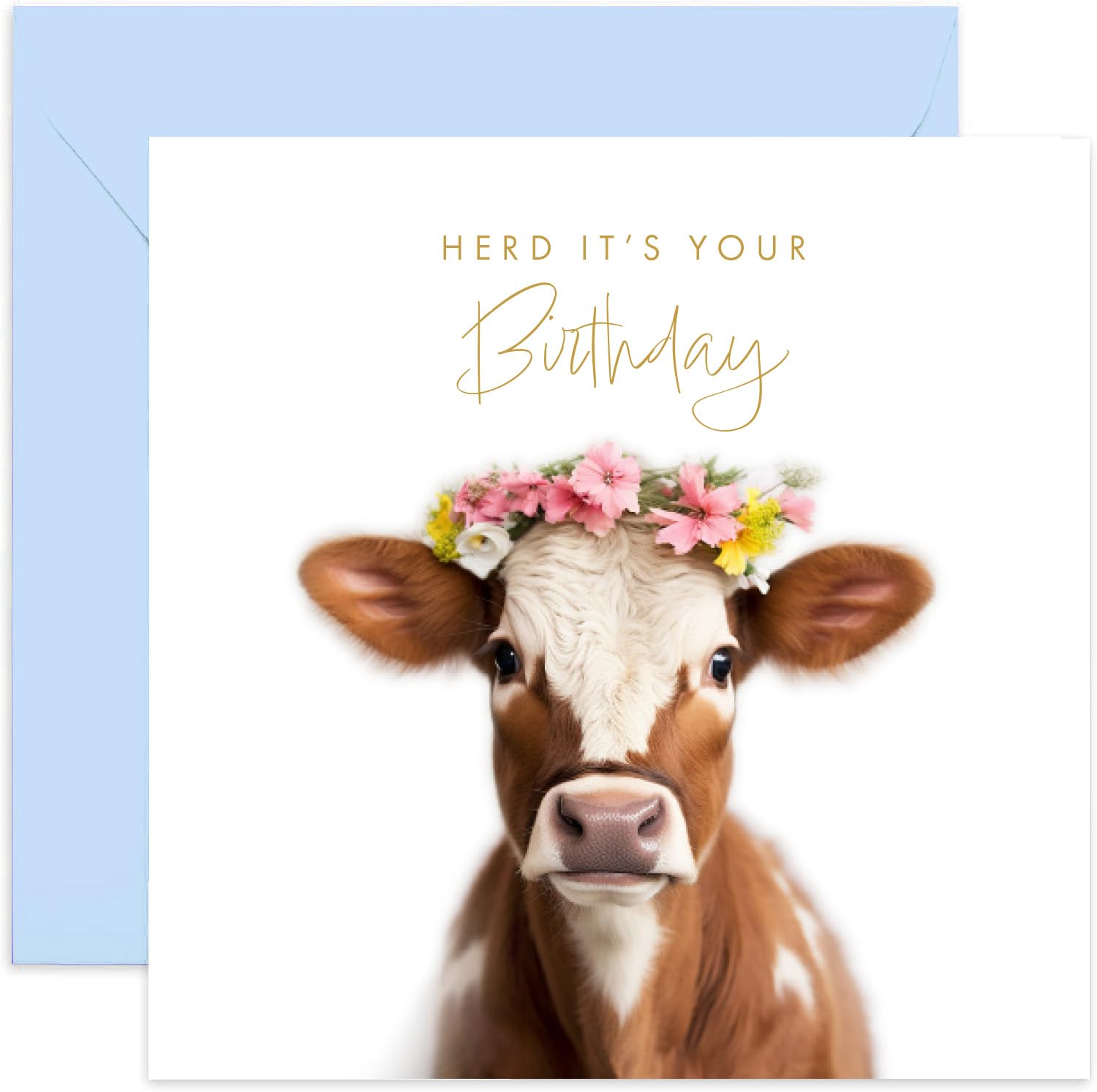 Cow Funny Birthday Cards SH019 Funny Card Highland Cow Let Your Hair