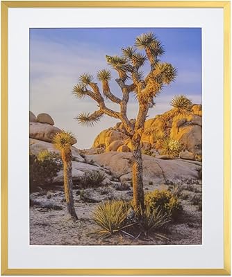 Amazon.com: Gold Music Album Frame - Made To Display Vinyl LP Covers 12 ...