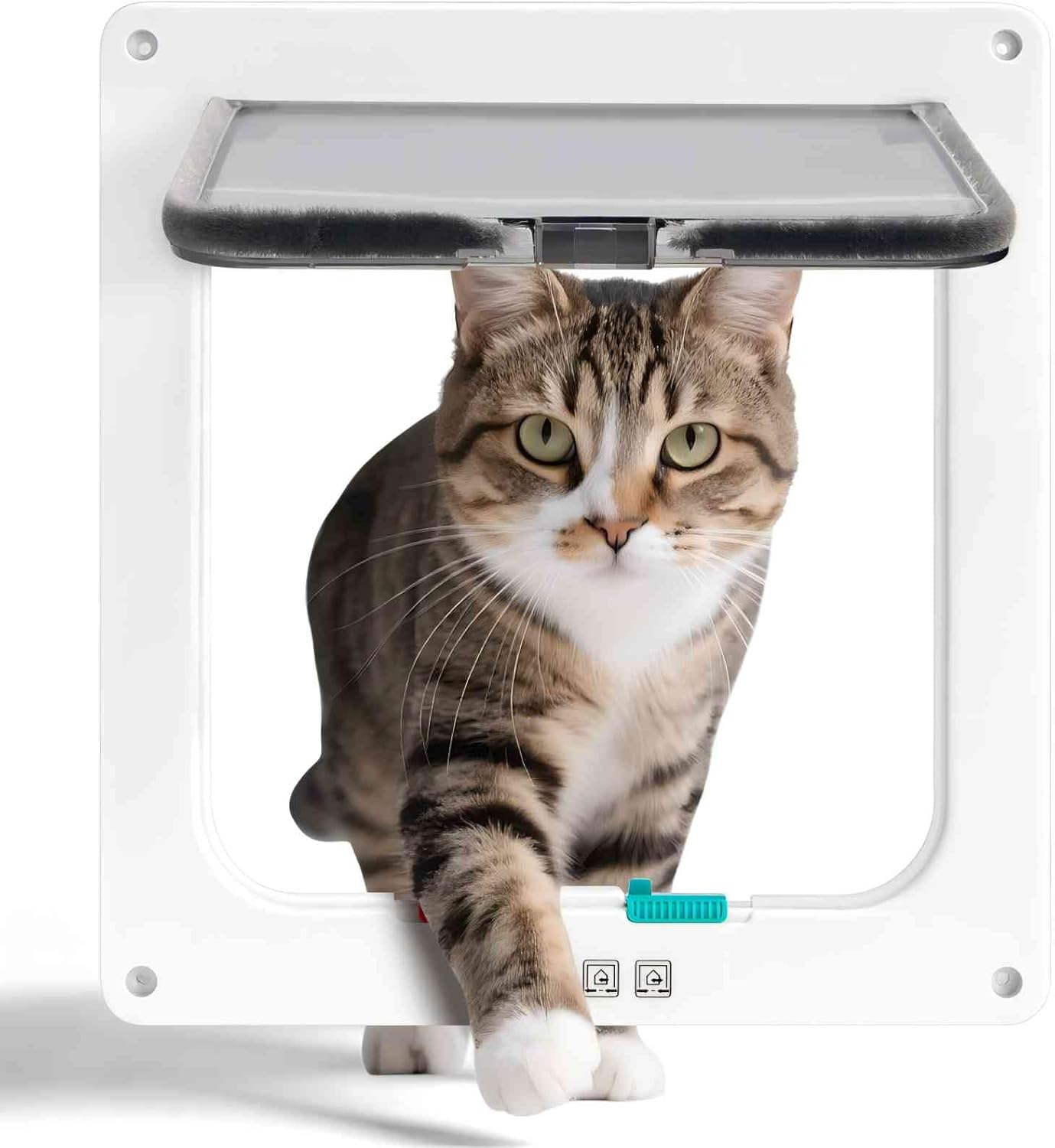 Amazon.com : PanSukided 4-Way Lock Cat Door for Interior & Exterior ...