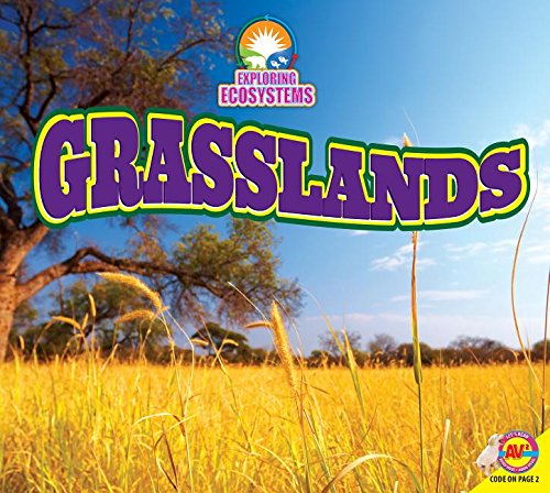Grasslands (Exploring Ecosystems) : Roumanis, Alexis: Amazon.in: Books