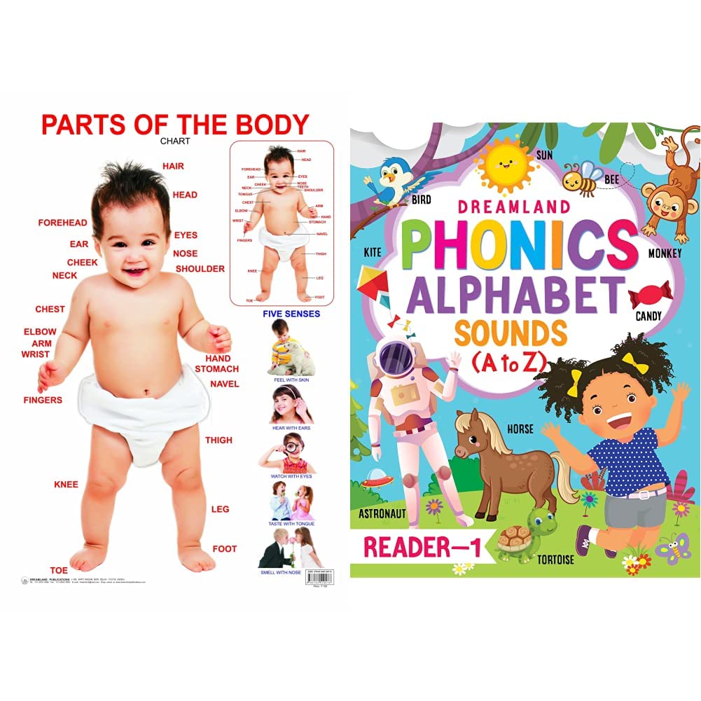 Buy Parts of The Body Educational Wall Chart For Kids - Both Side Hard ...