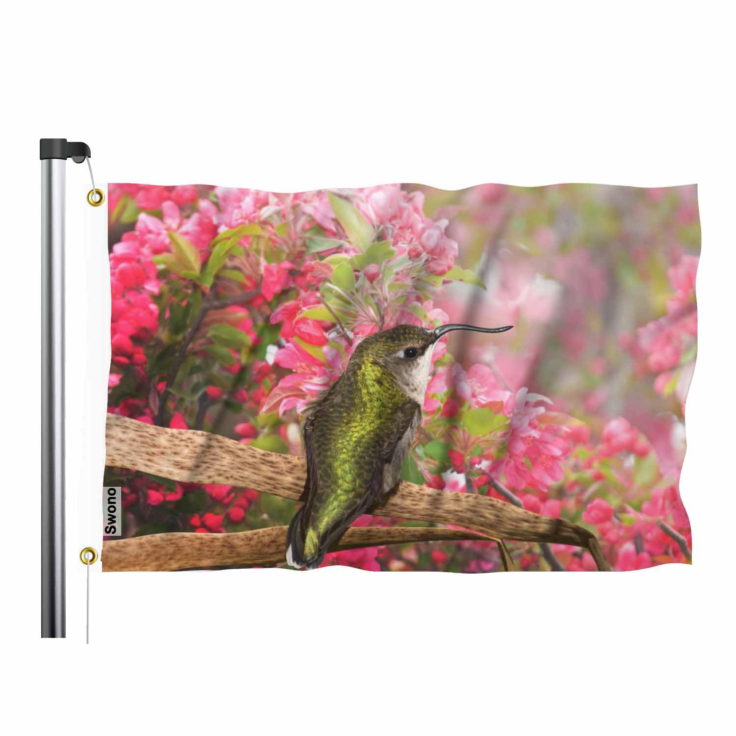 Amazon.com : Swono Green Hummingbird Flag Banner Bird Enjoying Apple ...
