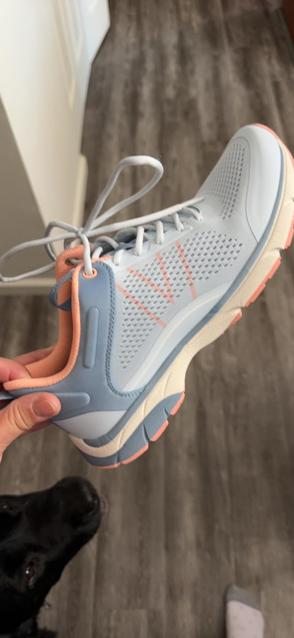 Amazon.com | Vionic Women's Drift Vibrant Walking Sneaker- Supportive ...