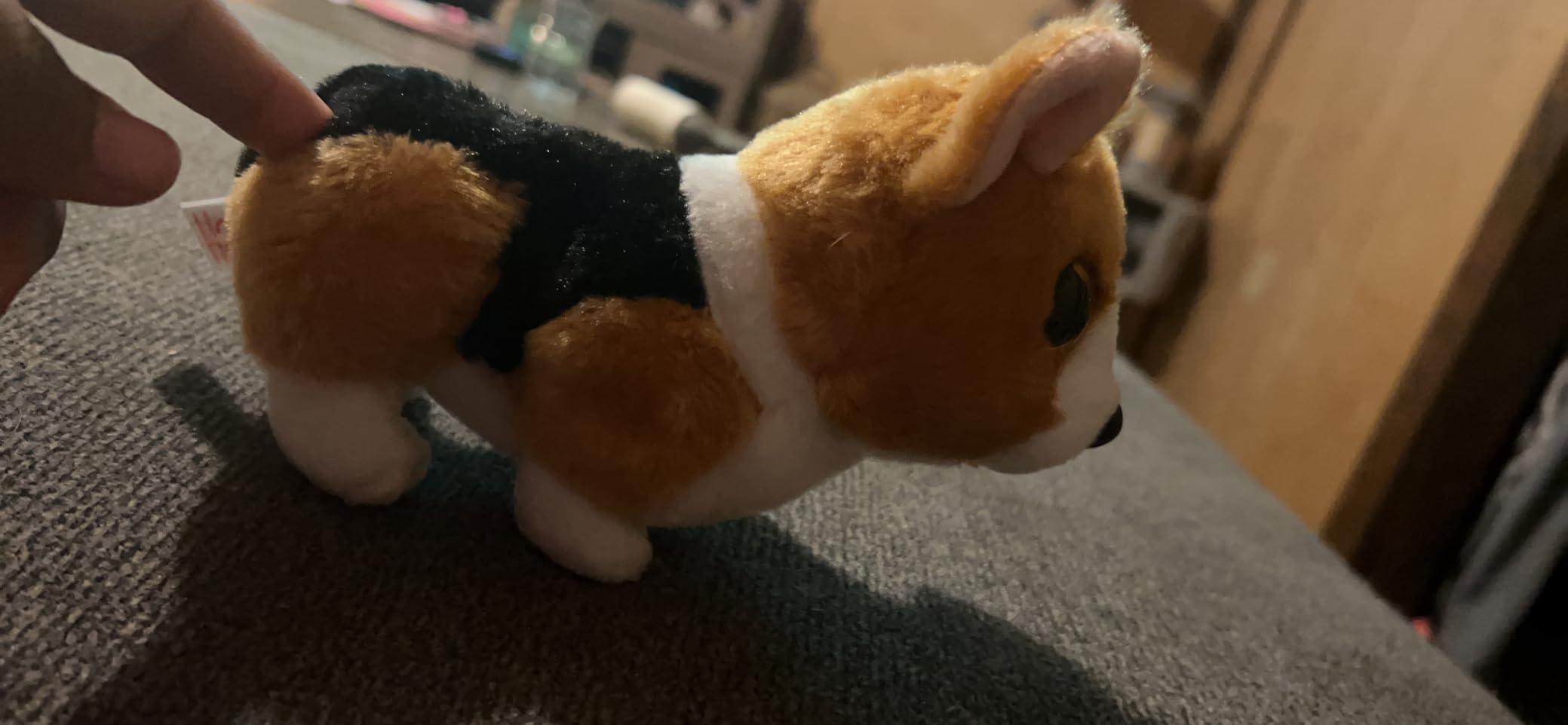 Amazon.com: ty Beanie Boos Colin Corgi 6" - Beanie Baby Soft Plush Toy ...