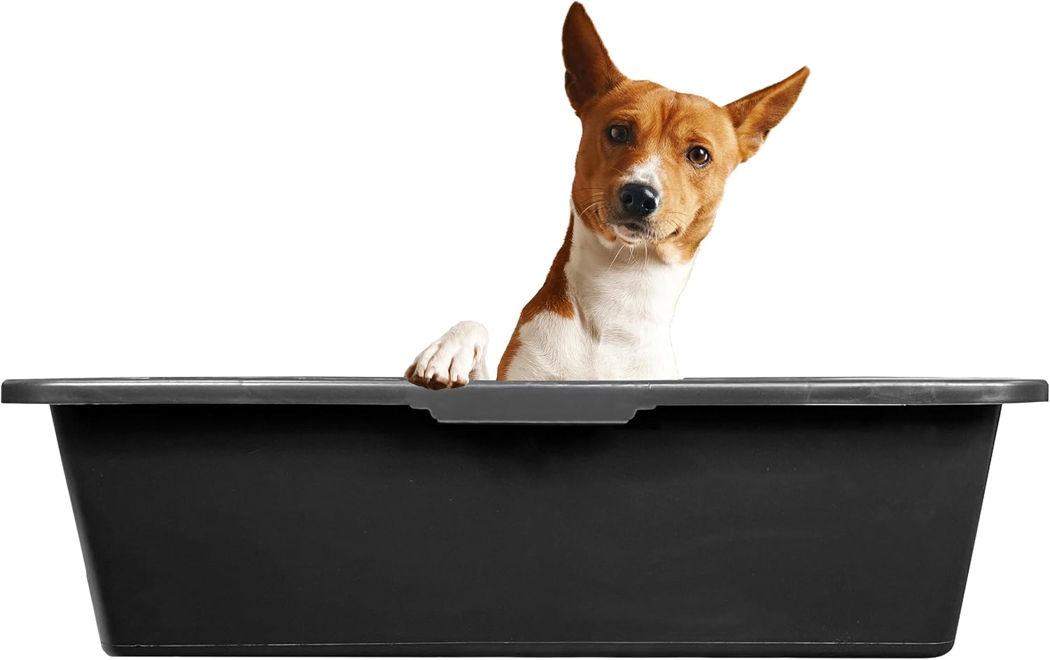 AP Supplies Dog Bath with Tap 40L – Heavy Duty Plastic Dog Washing Tub ...