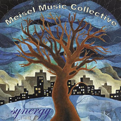 Amazon.com: Synergy : Meisel Music Collective: Digital Music