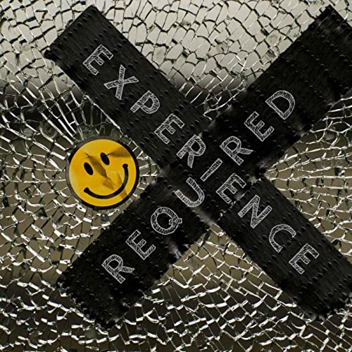 Experience Required : Ash & Danielle: Amazon.in: Books