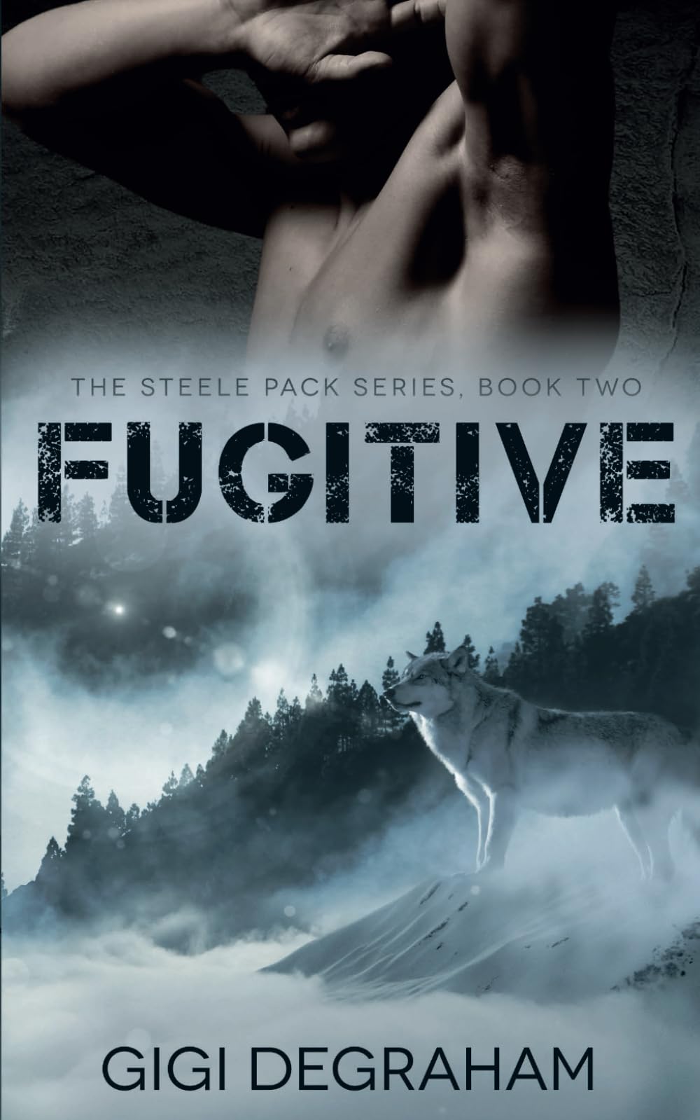 Amazon.com: Fugitive (Steele Pack): 9781648907036: DeGraham, GiGi: Books