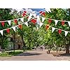 Amazon.com: 100 Feet Red & White Pennant Banner Flags String Hanging ...