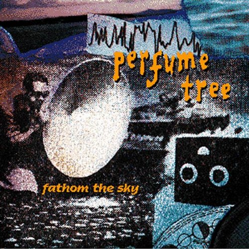 Fathom the Tree (UK Import): Amazon.de: Musik-CDs & Vinyl