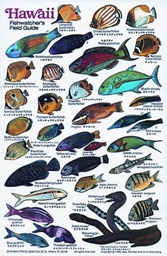 Hawaii Fish Guide Maui Map Fish Galvanised ID