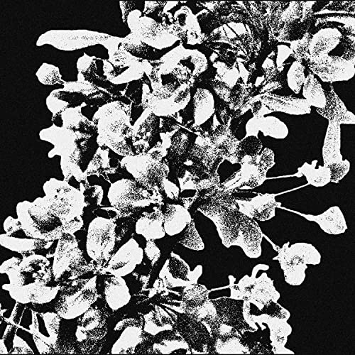 Amazon.co.jp: SPRING : ANGEL-MAKER: Digital Music