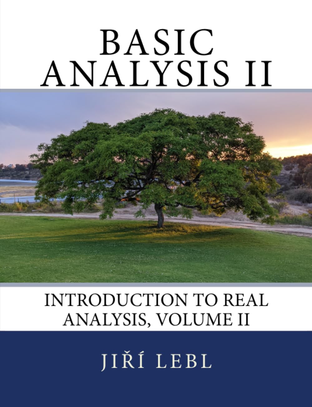 Basic Analysis II: Introduction to Real Analysis, Volume II (Basic ...